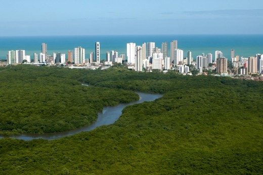 Blog SOS Rios do Brasil: MANGUE DO RECIFE (ESTAÇÃO RÁDIO PINA) É ...