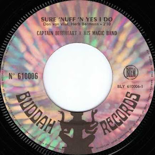 Van Groove Express: Captain Beefheart & His Magic Band - Sure 'Nuff 'N ...