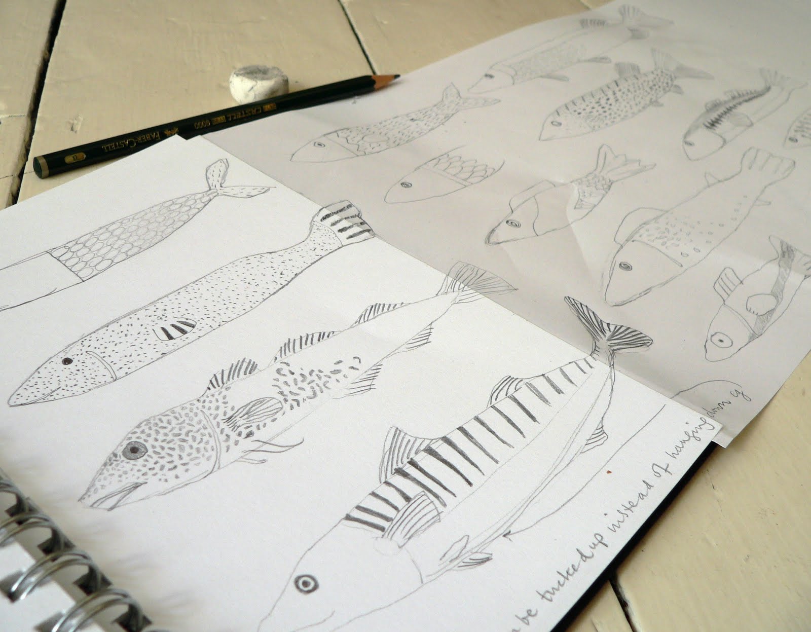 mouse notebook: the evolution of fish