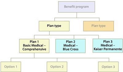 PeopleSoft Benefits Administration Tutorials: Benefits Terminology