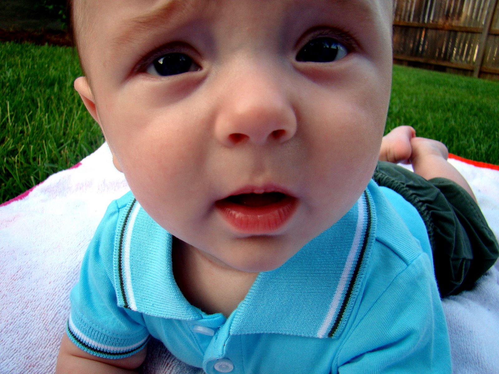 Baby's Temperament - The Journey of Parenthood...