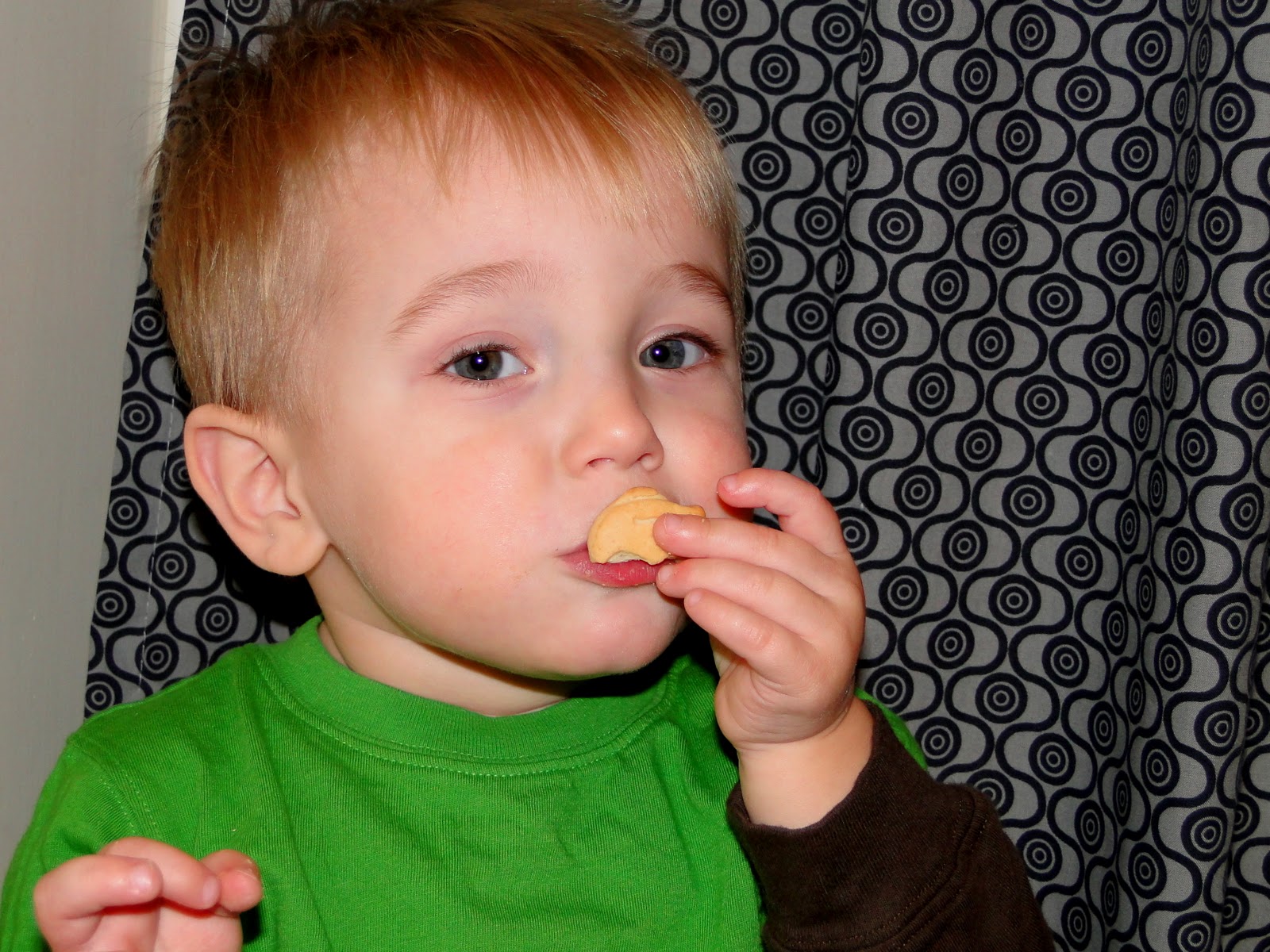 The Many Faces of Cookie Eating - The Journey of Parenthood...