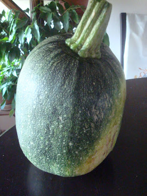 vrtaljica: Juha od tikve i pita tikvenjača