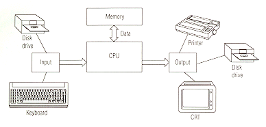 perspective: MICROPROCESSOR and SAP 1