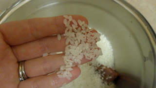 Bhibik ya NehNeh: Koosa oo Baytinjan Mahshi كوسا و بيتنجان محشي