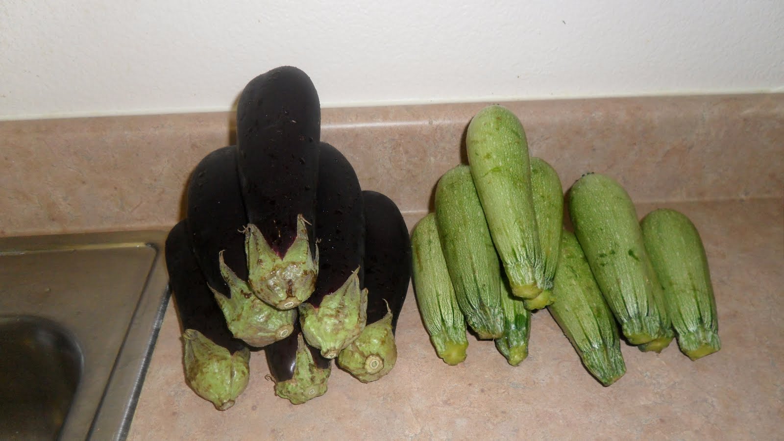 Bhibik ya NehNeh: Koosa oo Baytinjan Mahshi كوسا و بيتنجان محشي