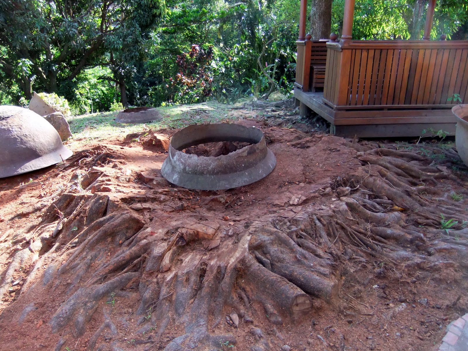 Islandscapes: Who Hid The Rubber Tree Stump?