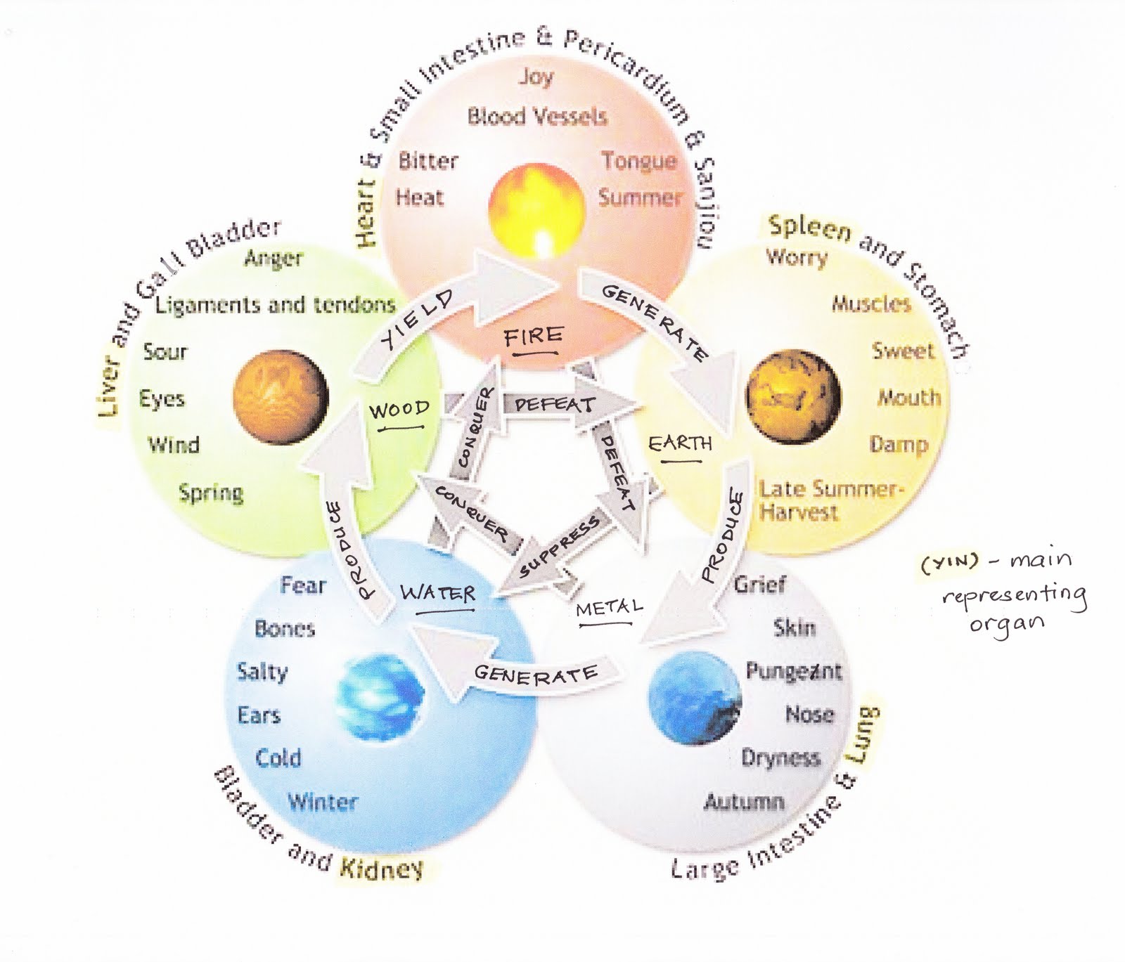 Amusing Tips: A life saving chart