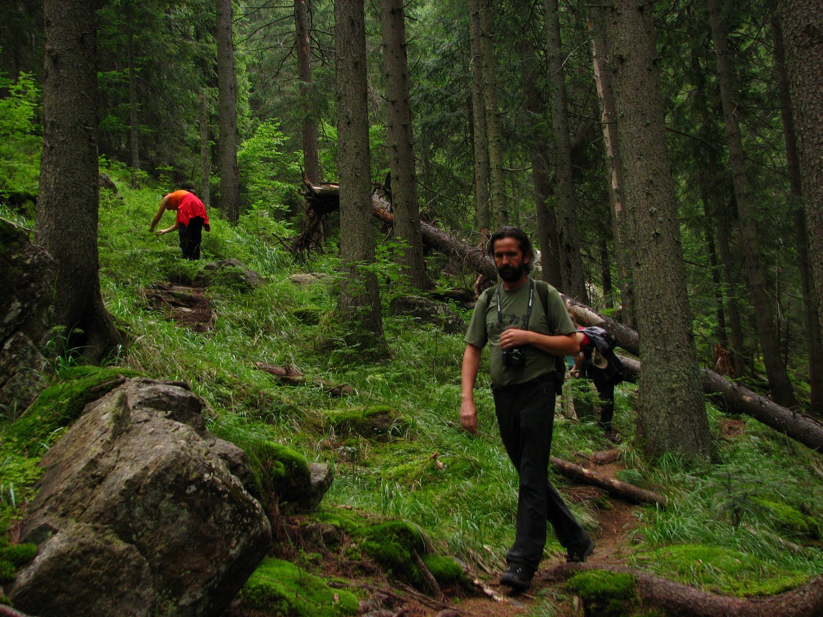 Marius CHIRA: Muntii Vladeasa - Valea Draganului - Cascada Moara Dracului