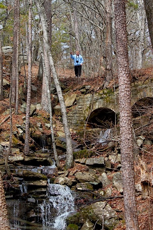 JOYFUL REFLECTIONS: Waterfalls at Mt. Magazine, AR