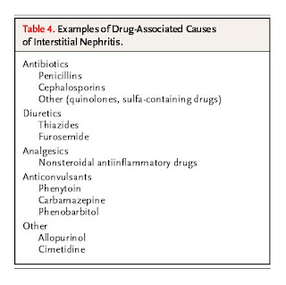 Adventures in Medicine: Day #216 - Acute Interstitial Nephritis
