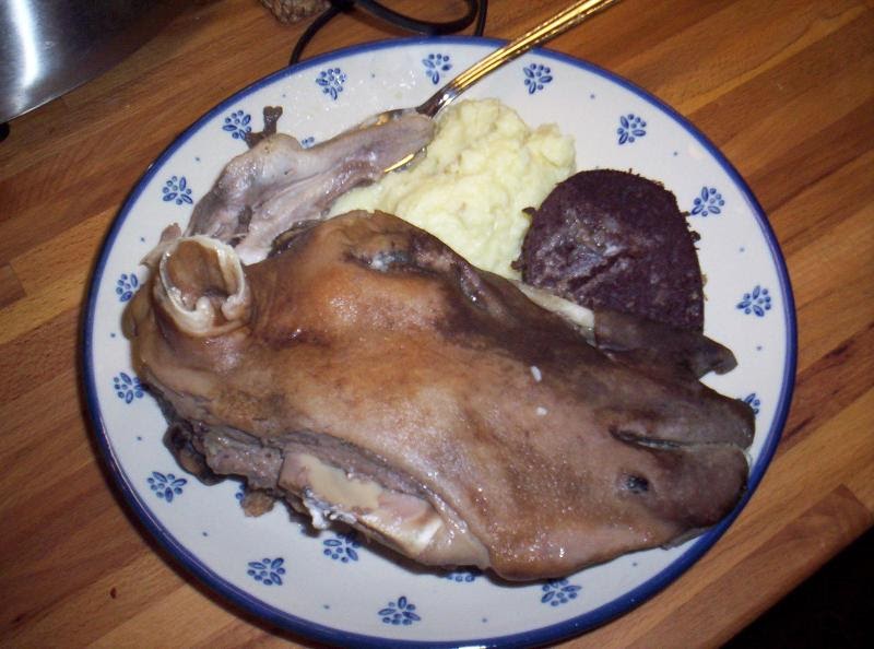 David auf Island: Spezialitäten isländischer Küche