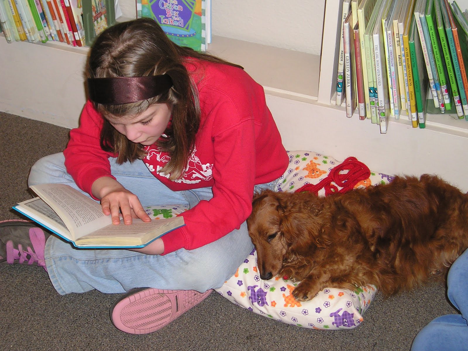 Dogs Deserve Freedom 15 Amazing Facts About Therapy Dogs dogs-deserve-freedom-15-amazing-facts-about-therapy-dogs
