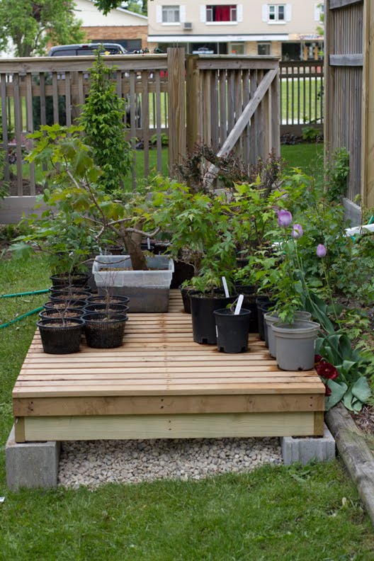 Matthew Holt's Artistic Endeavors: Bonsai Bench