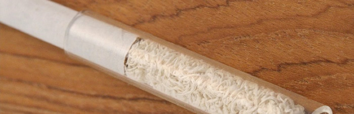 Urban Echo: Biodegradable cigarette filters feature sproutable plant seeds