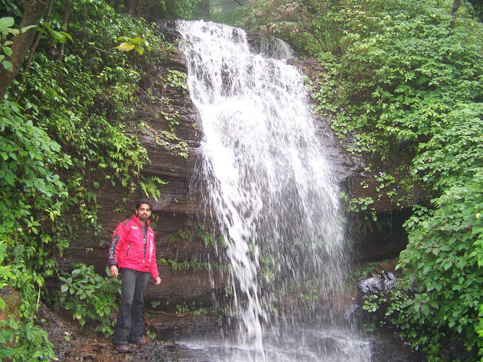 TREK @ kemangundi: TREK TO BEAUTIFUL KEMANGUNDI