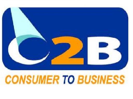 E-commerce: C2B (Consumer to Business)