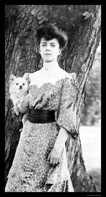 The Public "I": GO ASK ALICE