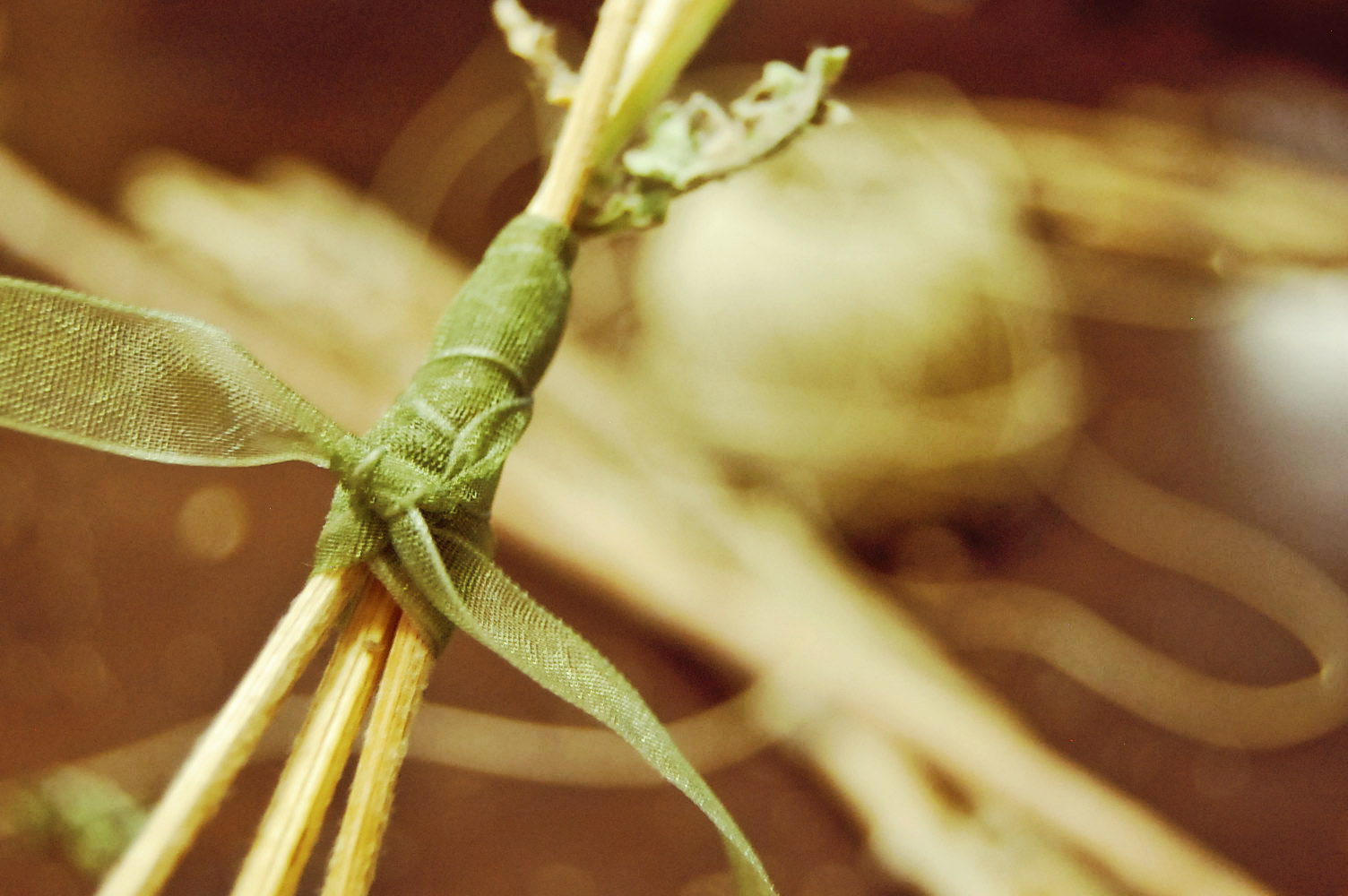 Toad's Treasures Lifestyle Family Blog by Emily Ashby: Twig Decoration ...