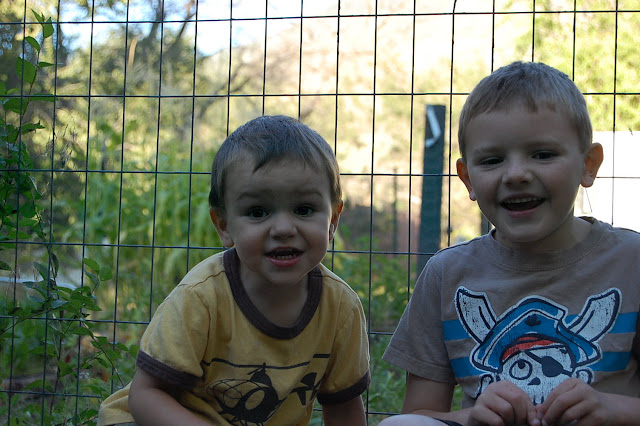 Toad's Treasures Lifestyle Family Blog by Emily Ashby: Kids & Kisses