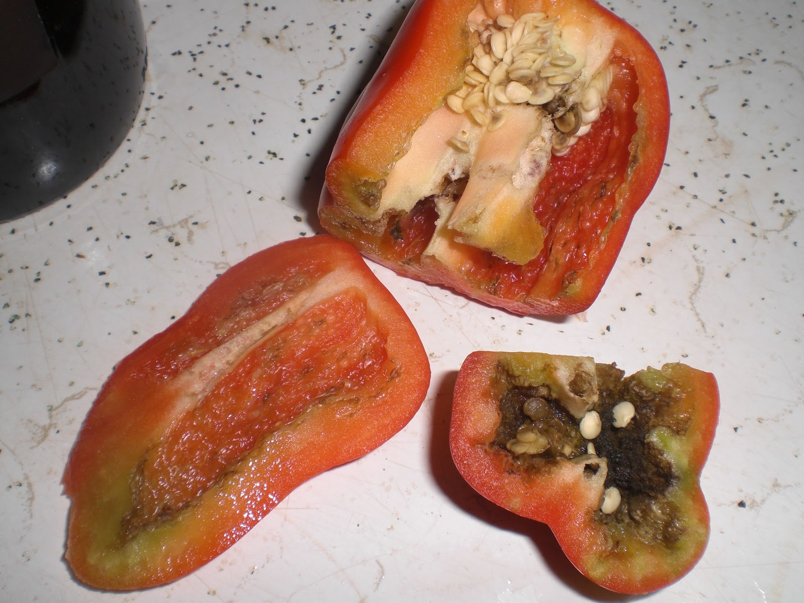 gardening in the boroughs of nyc: A Nasty Surprise