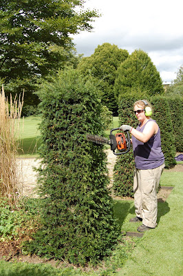 Worcester College Gardeners 2009-2018: Seedlings, Yew Columns and Two ...