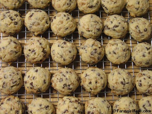 Farmgirl Fare: Recipe: Really Easy Baby Shortbread Cookies with Mini ...