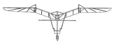 Flapping Wing: ORNITHOPTER