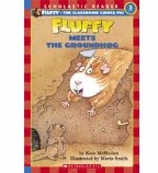 Experiencing Our Homeschool