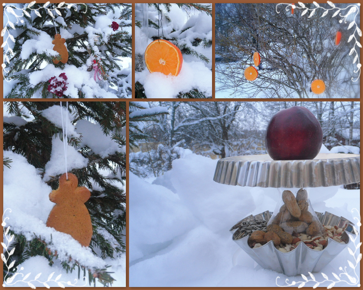 Viisi vuodenaikaa: Lintujen loppiainen