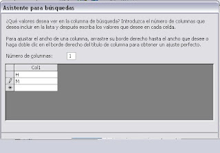 Access: Asistente para busquedas
