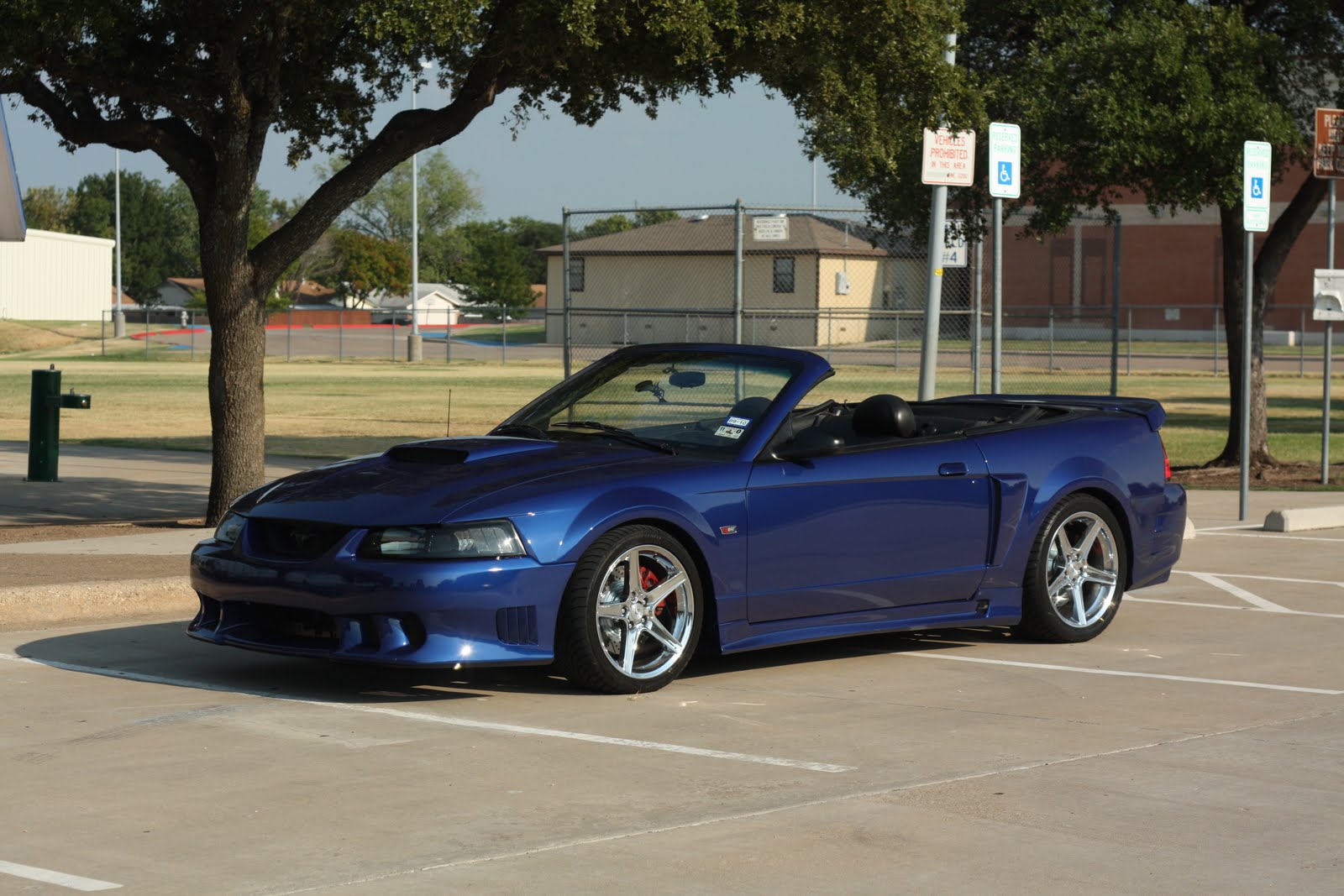 Whiteboy's Mustangs: 2003 Mustang GT convertible/Now saleen clone