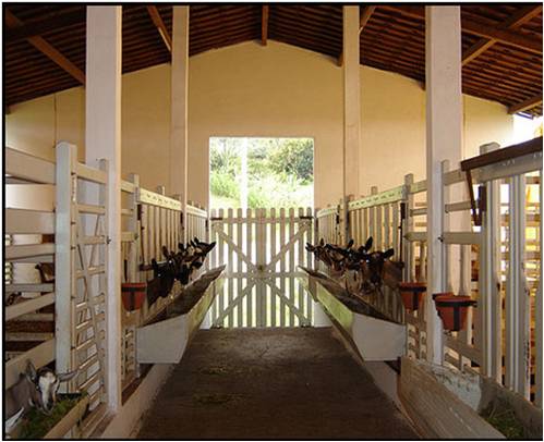 PRINCIPIOS BASICOS DE UN APRISCO | blog de caprisan