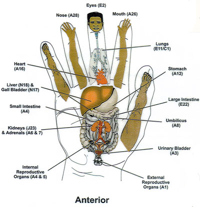 Wyldestone Cottage: Hand Diagnosis, What Your hands say about Your Health