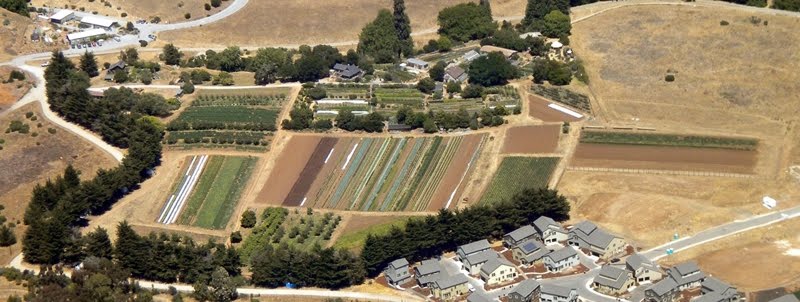 Sustainable LBCC: CASFS - UC Santa Cruz