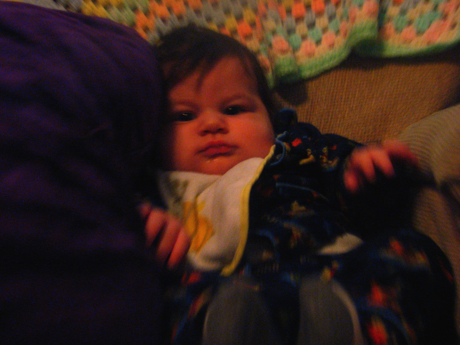 B³ - Briggs, Bandit, Booger