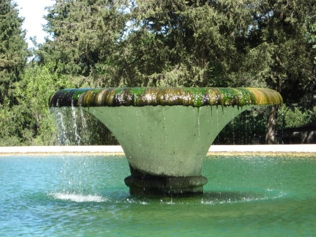 ΡΟΔΟΣυλλέκτης (Φωτογραφίες): ΦΩΤΟΓΡΑΦΙΕΣ ΑΠΟ ΔΙΜΥΛΙΑ – ΕΛΕΟΥΣΑ ΤΗΣ ΡΟΔΟΥ
