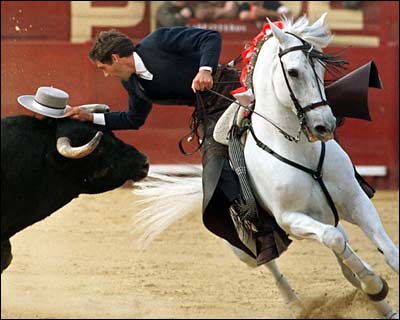Cultura Andaluza: Rejoneo a caballo