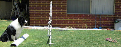 Raven, Cypher & Spryte - An Agility Blog: Cathy Slot Jumping Weekend