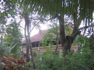 Karthikappally: Ananthapuram Palace