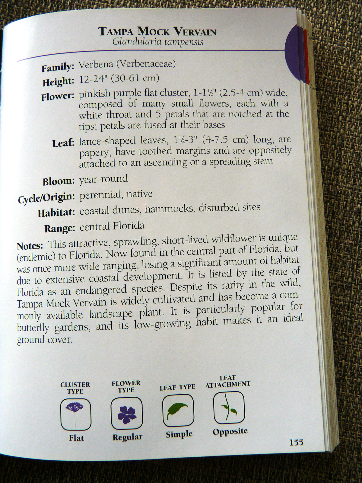My Florida Backyard: A Review: Wildflowers of Florida Field Guide