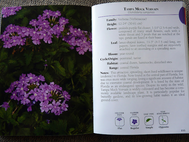 My Florida Backyard: A Review: Wildflowers of Florida Field Guide