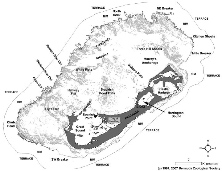 A heightmap of Bermuda and surrounding reefs. Each color is a 2m height ...