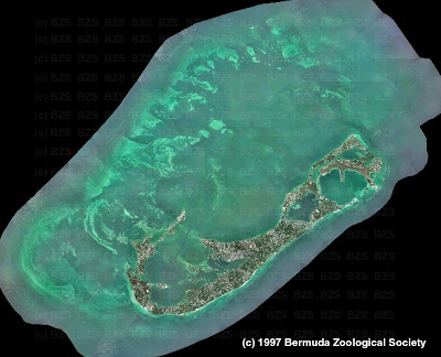 Mapping Bermuda's Coral Reefs