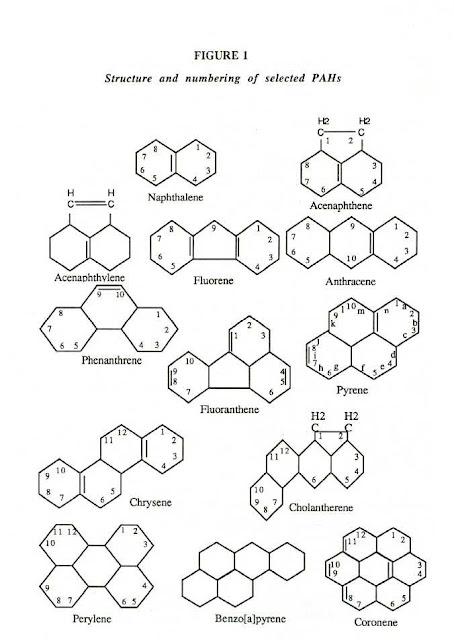 Science: Polycyclic Aromatic Hidrocarbon (PAH) - (1)