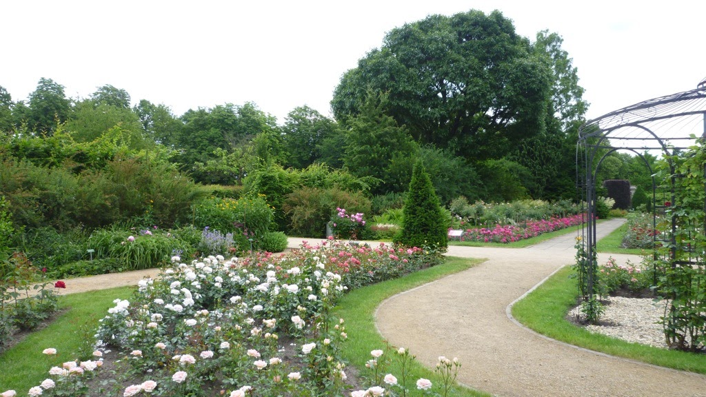 Gartenglück im Wandelgarten: Ostdeutscher Rosengarten- Forst/Lausitz