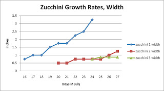 My Food Revolution: How Fast Does Zucchini Grow?