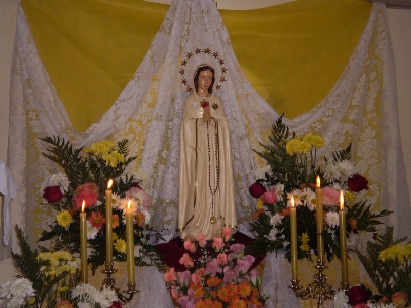 MARIA ROSA MÍSTICA: Maria Rosa Mística no Brasil