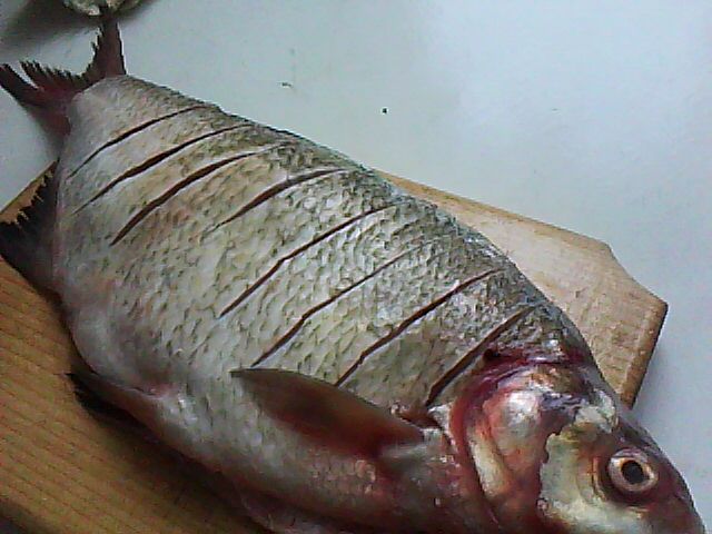 Retete cu peste: Pește (plătică) la cuptor