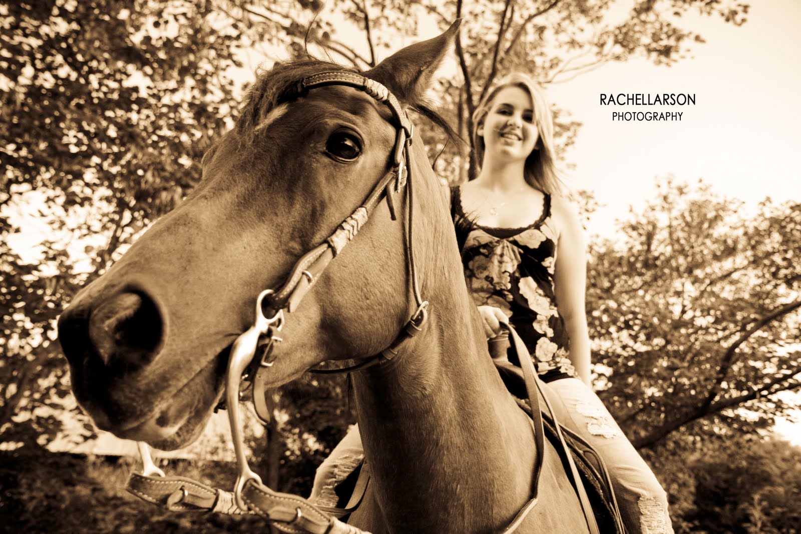 Rachel Larson Photography